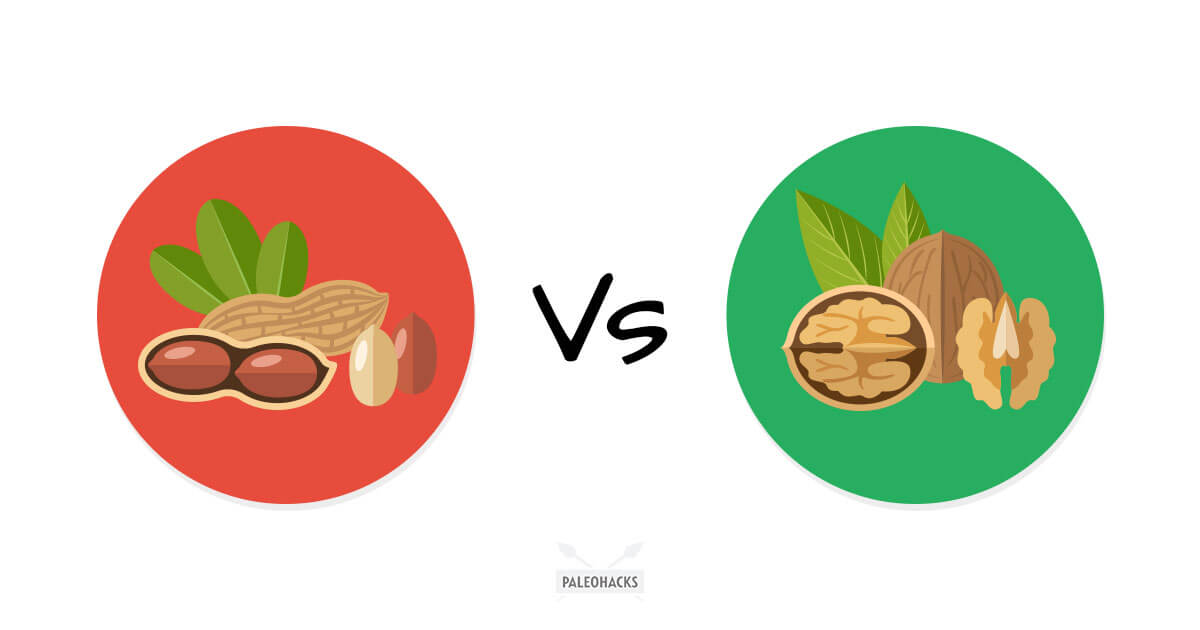 What is Paleo? | Food, Exercises and Lifestyle Guidelines to Paleo