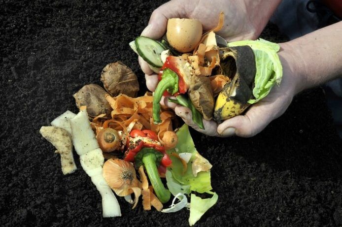 How to Compost? Everything You Need To Know About Composting