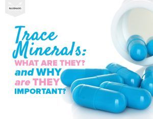 Trace Minerals: What are they? And why are they important?