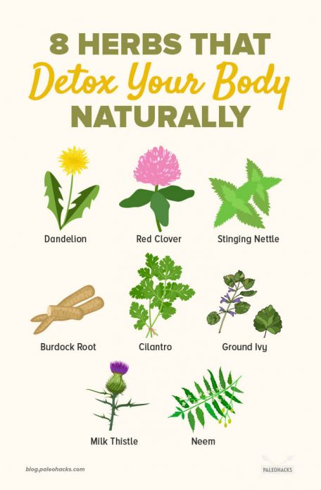 Detox Your Body Naturally: 8 Herbs That'll Do the Trick
