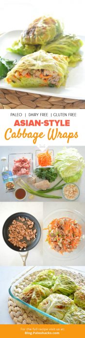 Asian-Style Cabbage Wraps Recipe | Paleo, Gluten Free, Healthy