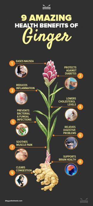 9 Amazing Health Benefits of Ginger | PaleoHacks Blog