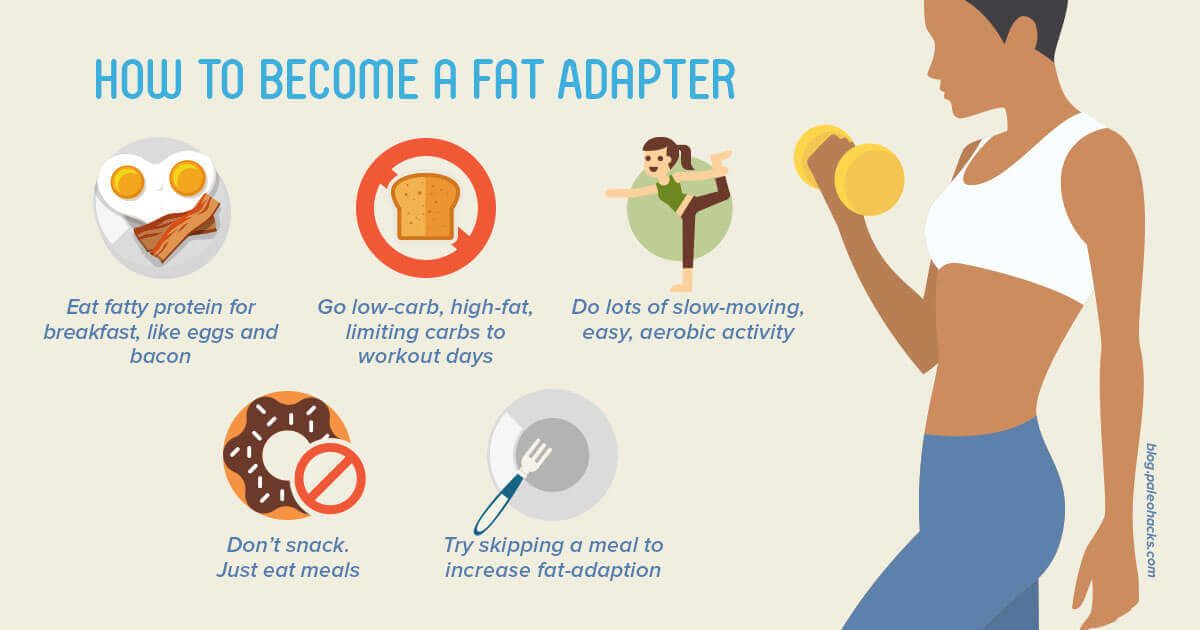 Fat-Adapter VS Sugar-Burner | How to Create Lasting Energy