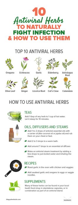 10 Antiviral Herbs to Naturally Fight Infection & How to Use Them
