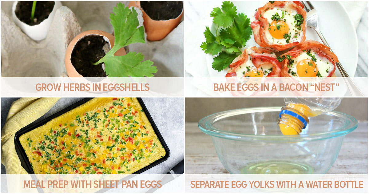 9 Egg Hacks That Are Sheer Genius | PaleoHacks Blog
