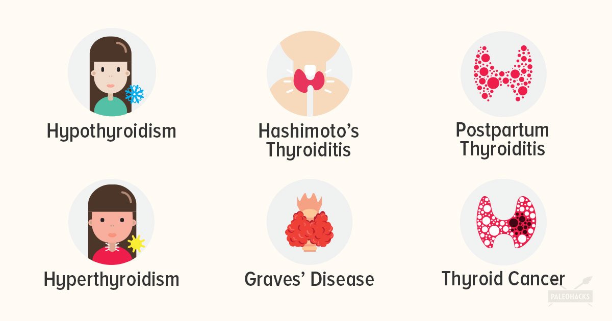 The Ultimate Guide To Thyroid Health | PaleoHacks Blog The Ultimate Guide To Thyroid Health | PaleoHacks Blog