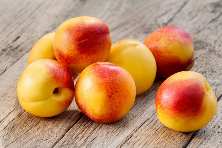 The 24 Best Low-Carb Fruits for Keto | PaleoHacks Blog