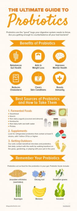 The Ultimate Guide To Probiotics | PaleoHacks Blog