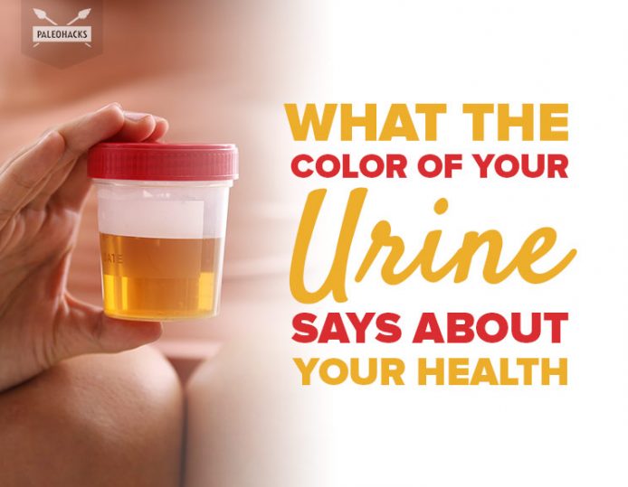 What The Color of Your Urine Says About Your Health | PaleoHacks Blog