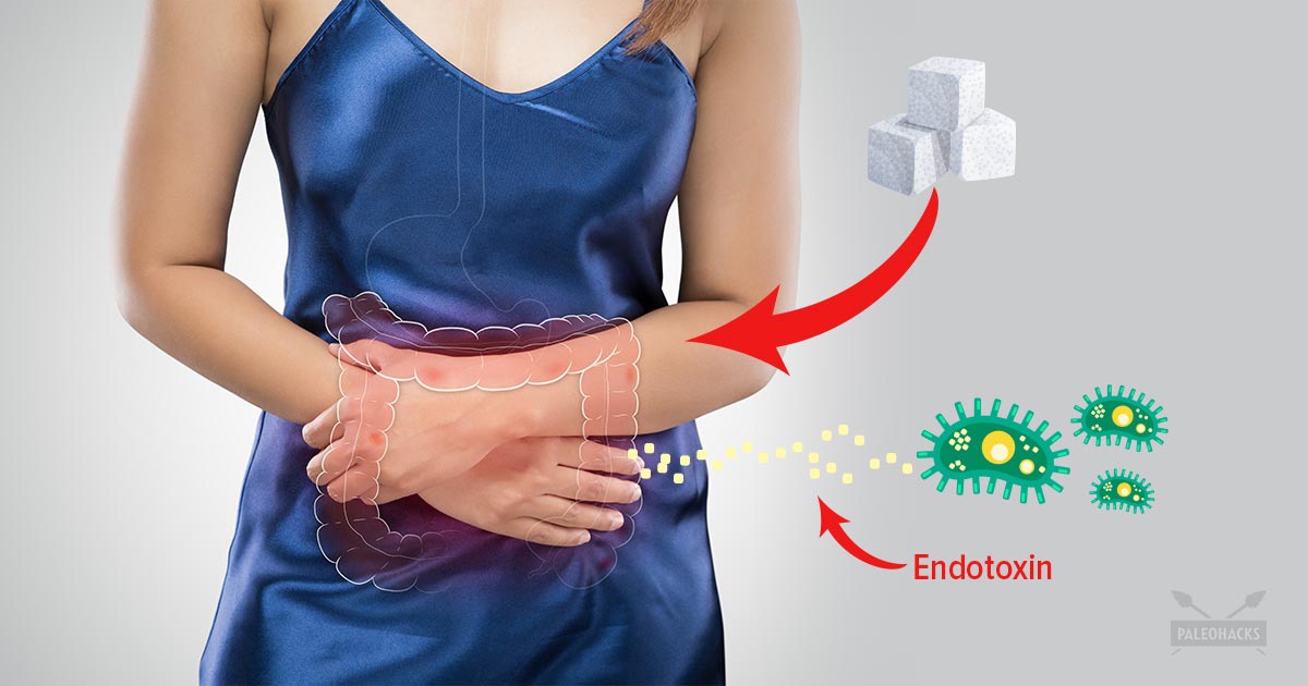Endotoxin: How Your Gut Bacteria Is Making You Sick | PaleoHacks Blog