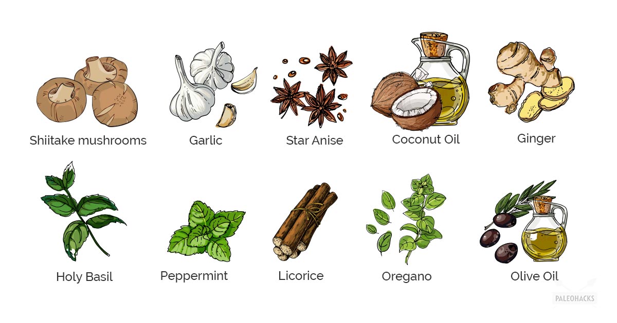 Top 10 Antiviral Foods To Keep You Healthy | Paleohacks Blog